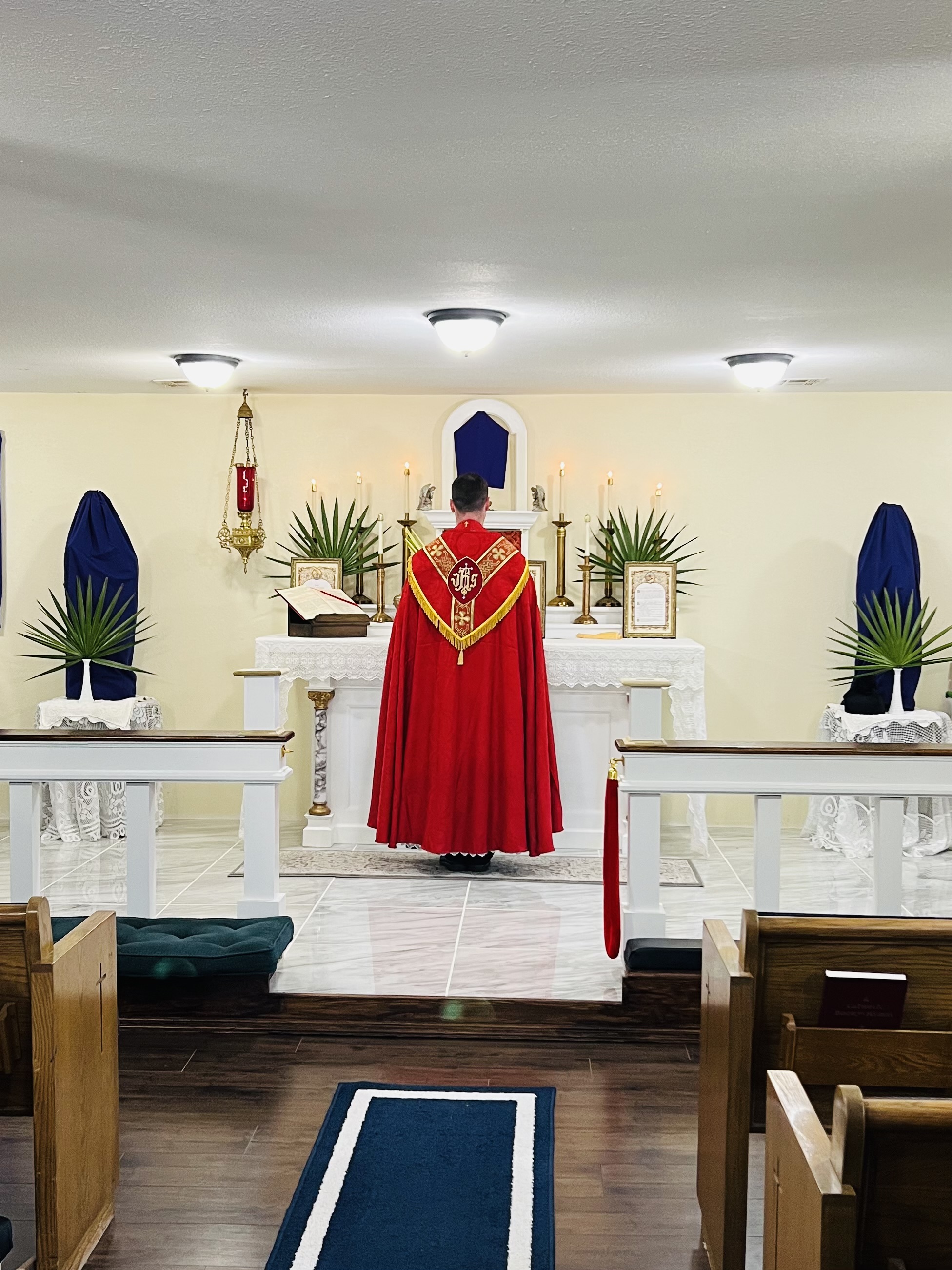 Palm Sunday: Our Souls Delight in the Palms, the Procession, the Mass ...